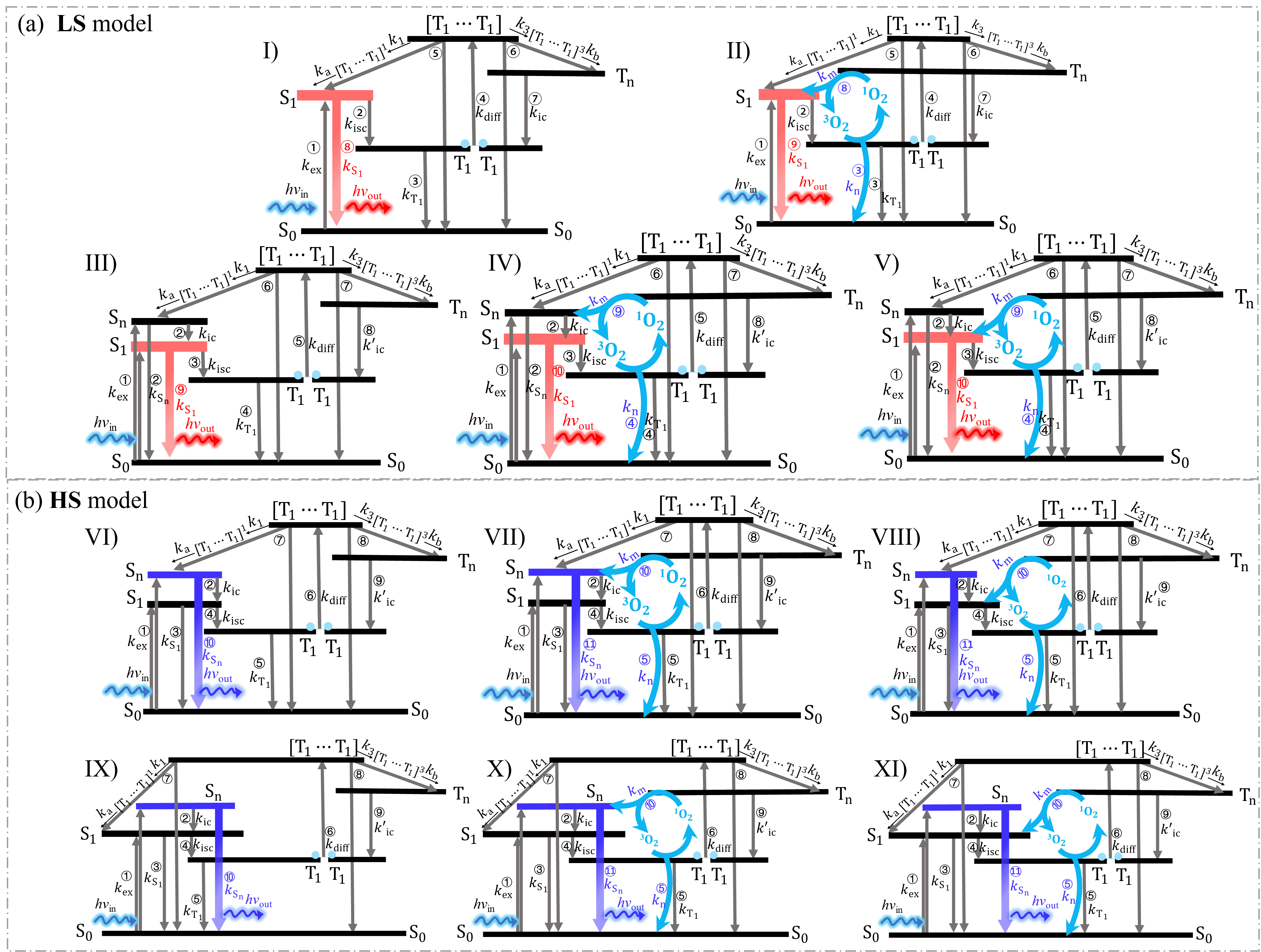 A Two Models Eleven Cases